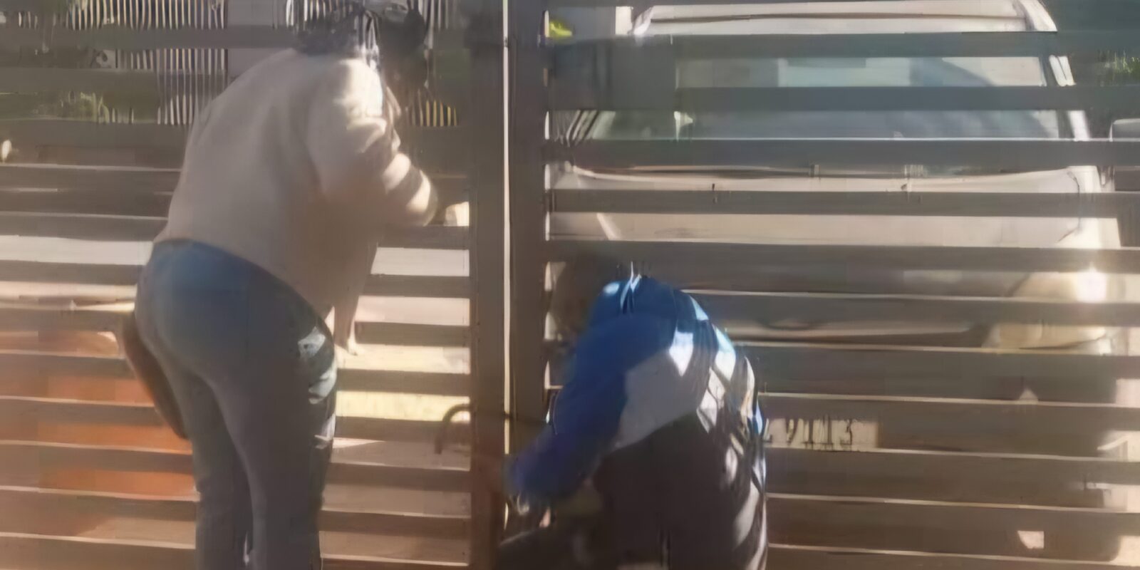 ACC breaks into former Minister Lusambo’s residence following bench ...