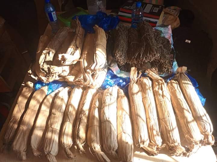 DEC arrests 11 suspects in multi-province drug burst | Zambia Monitor