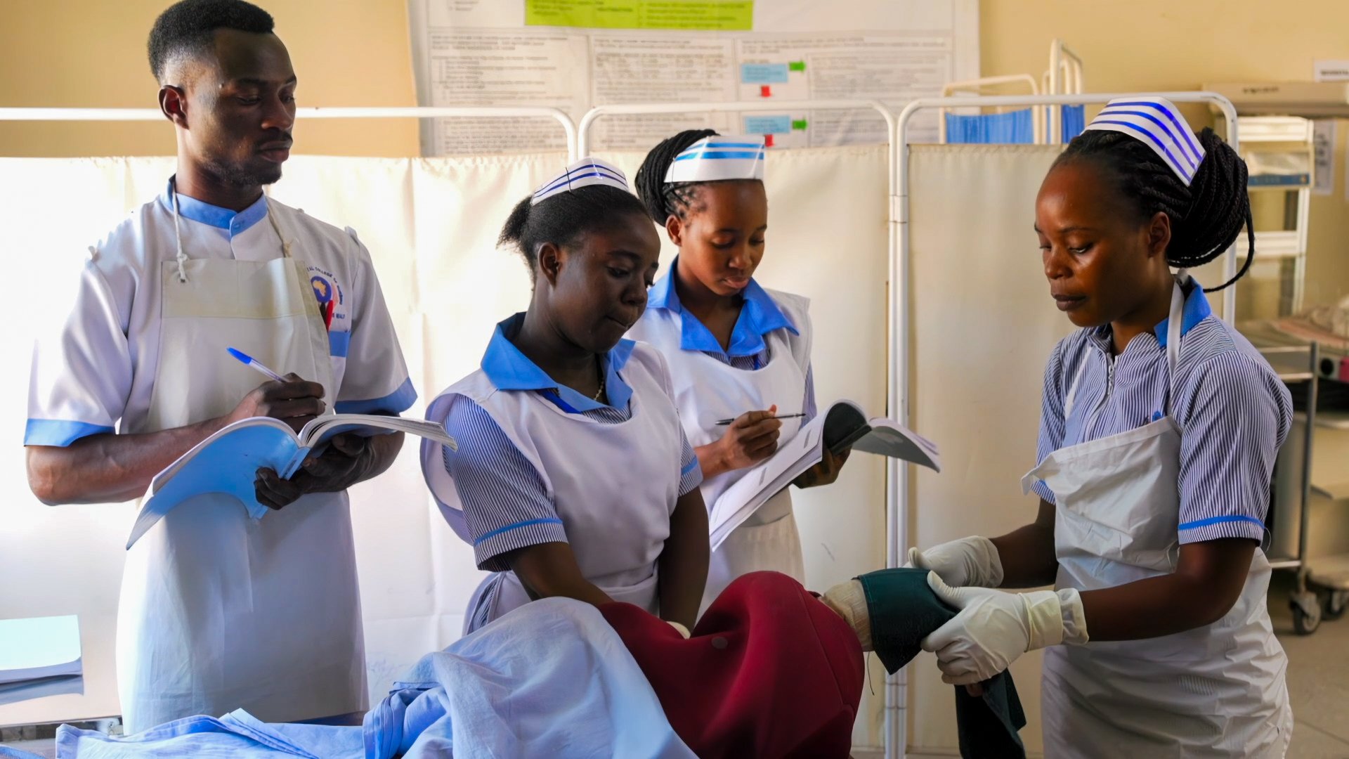 Professional excellence key to delivering quality health — Nurses’ union | Zambia Monitor