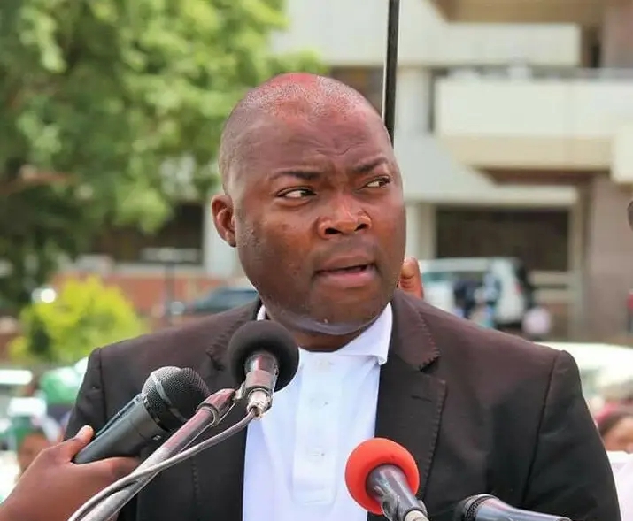 Ex-Kabushi MP, Lusambo reportedly captured by police while hiding in ...