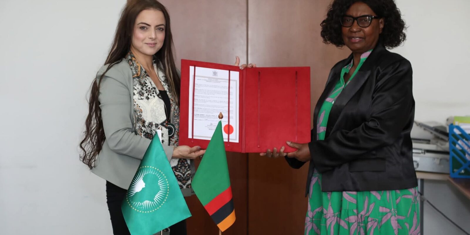 Zambia ratifies medicines agency treaty to enhance medical regulation ...