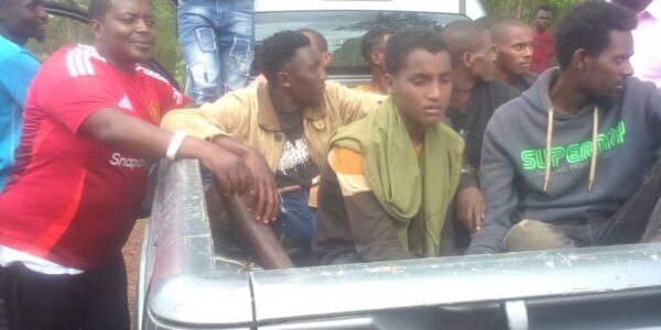 Immigration department claims 97 illegal immigrants apprehended in ...