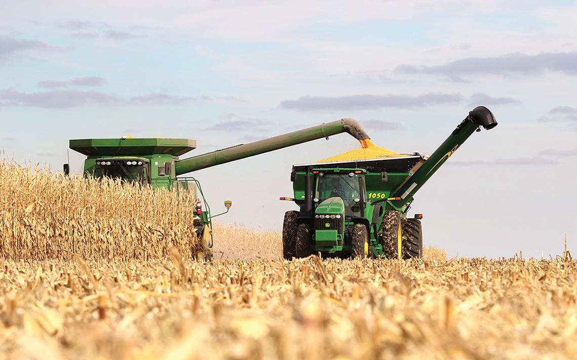 Zambia projects 3.6 million tonnes maize harvest in 2024/25, eyes ...