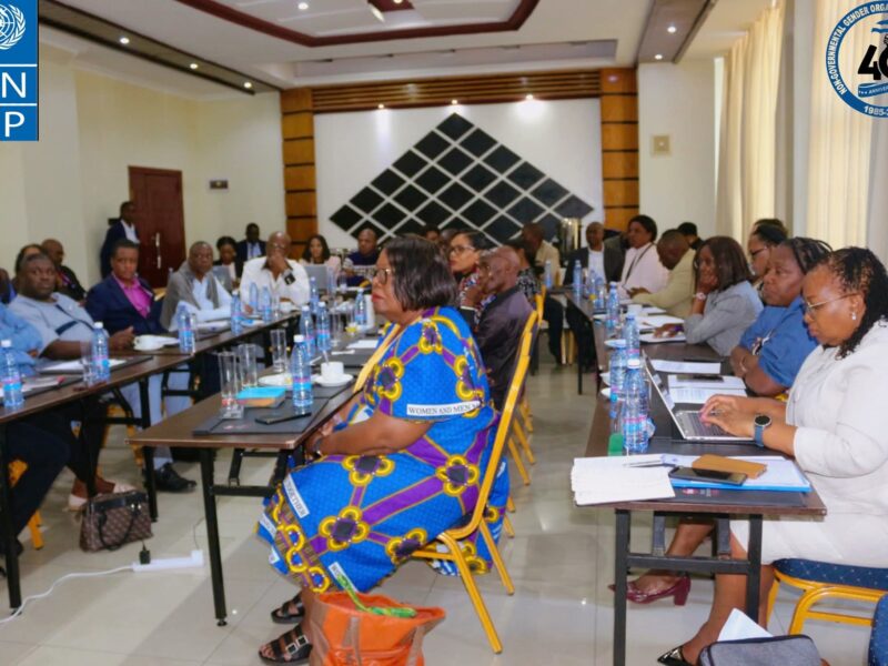 Lumezi Member of Parliament, Zulu, jailed one year for libeling Finance ...