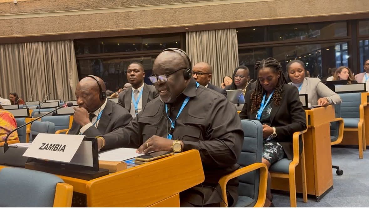 Zambia reaffirms commitment to multilevel governance, domestication of ...