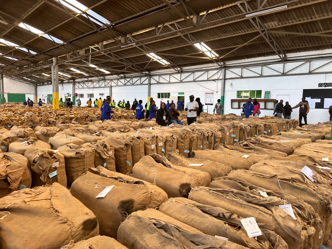 Tobacco production may hit 80 million kilogrammes in 2025, up from 44 ...