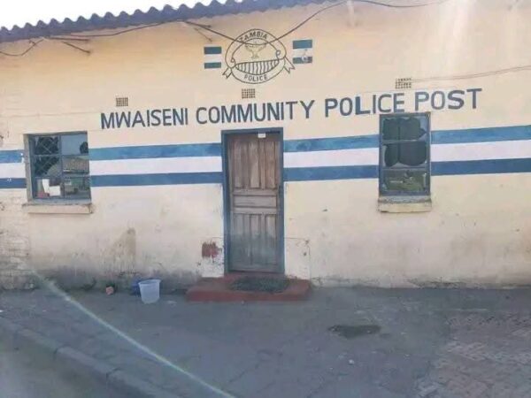 ‘Enough is enough,’ says minister Matambo as govt vows to crush forces ...