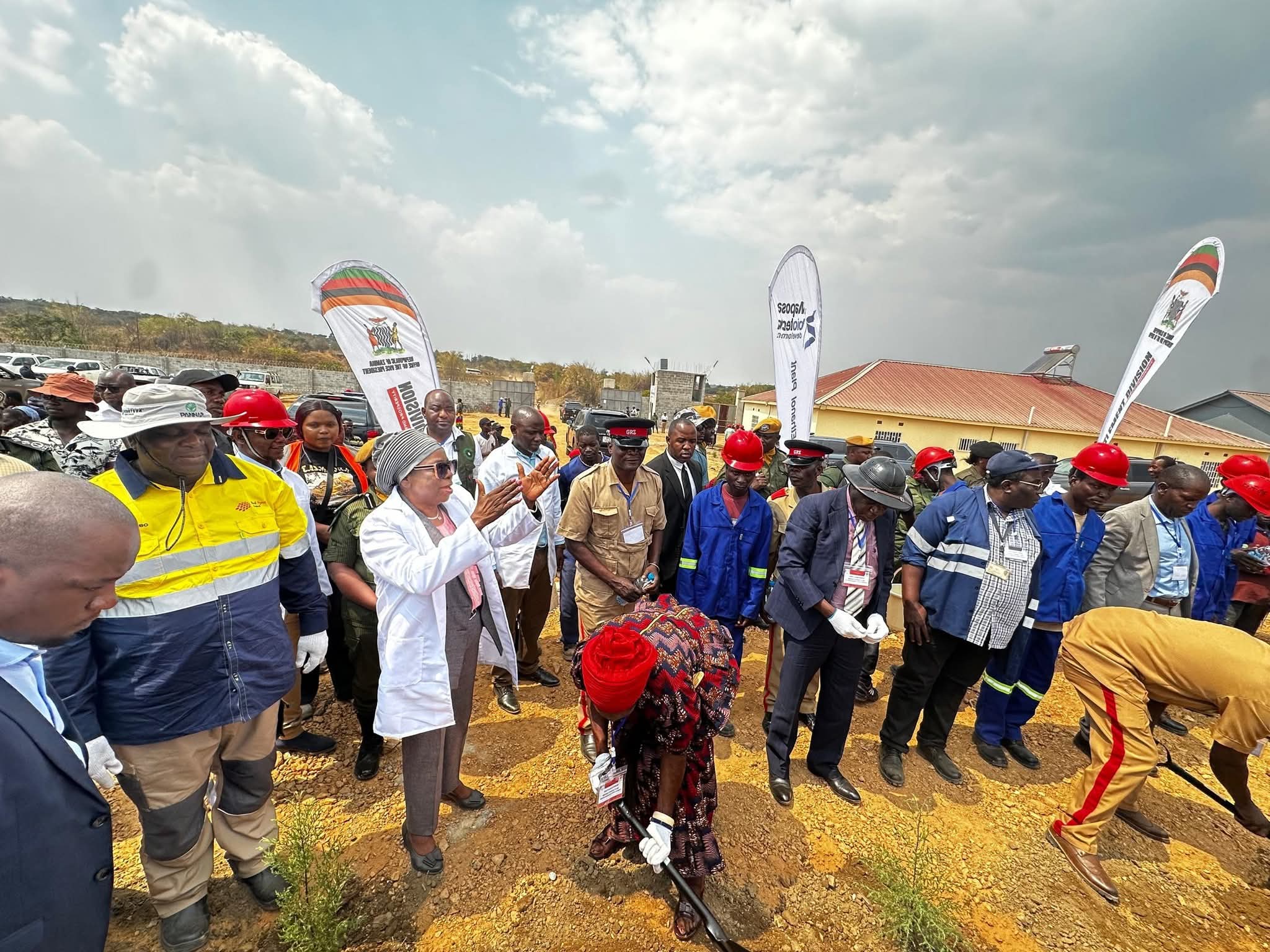 Vice president Nalumango urges cassava cultivation as $4 billion ...