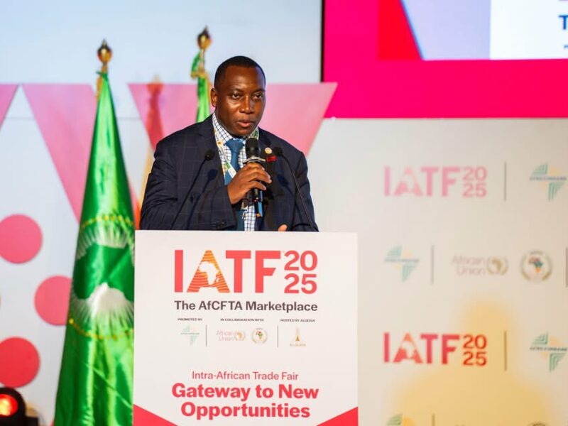 KoBold Metals projects investment of $300 million in Zambia’s Mingomba ...