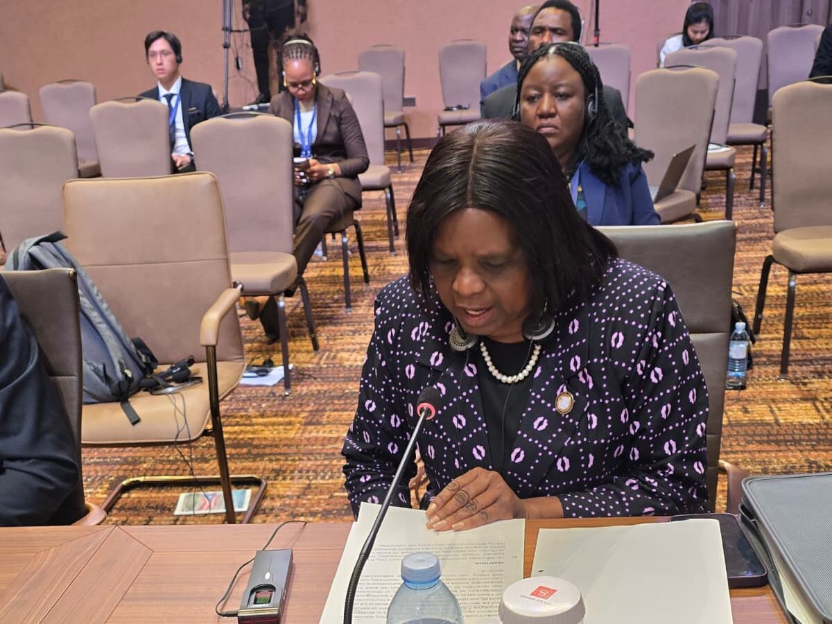 Power and Politics | Zambia Monitor