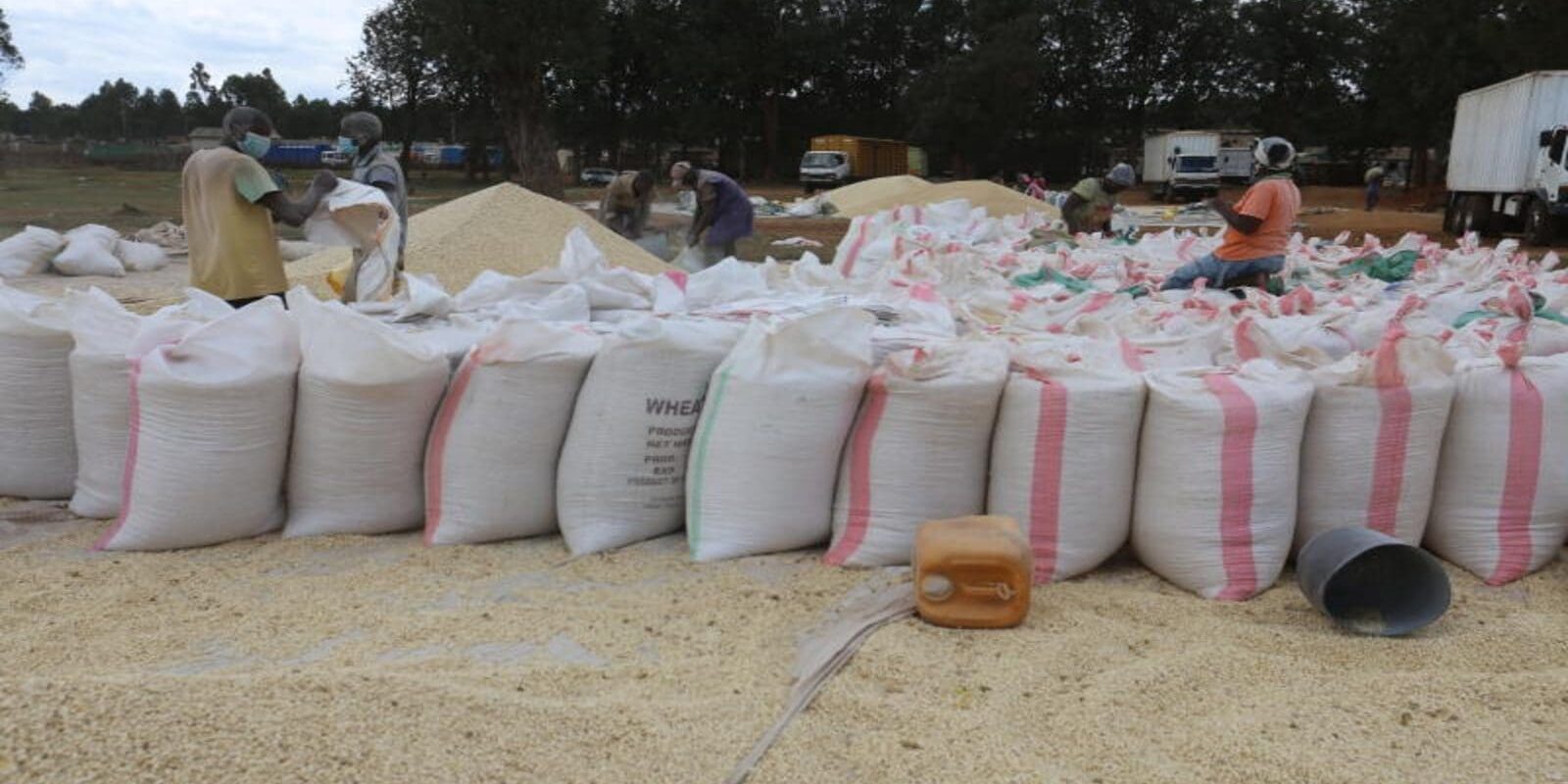 Export ban signals shift towards agric competitiveness but report ...