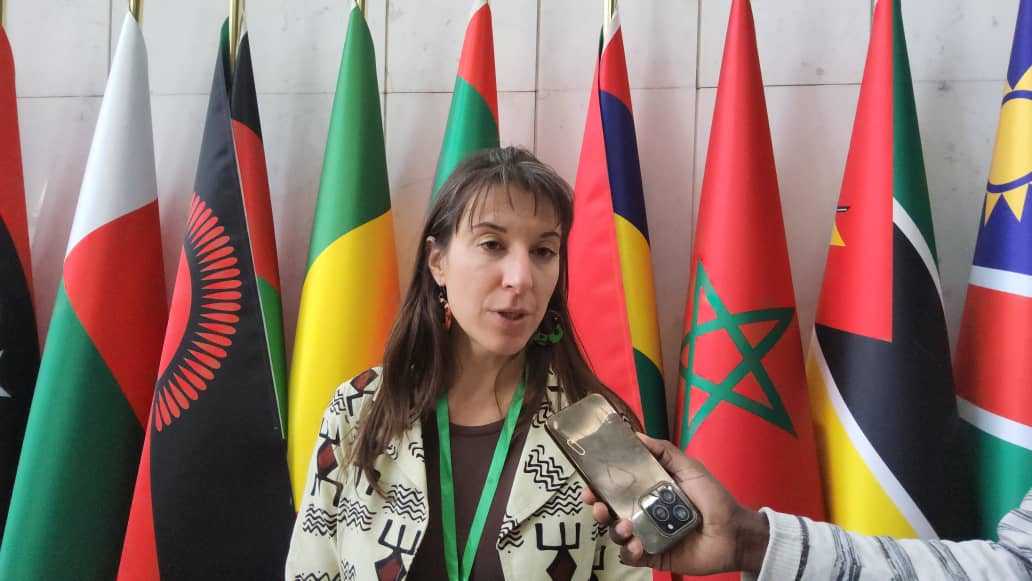 GIZ flags weak enforcement of energy efficiency rules across Africa ...