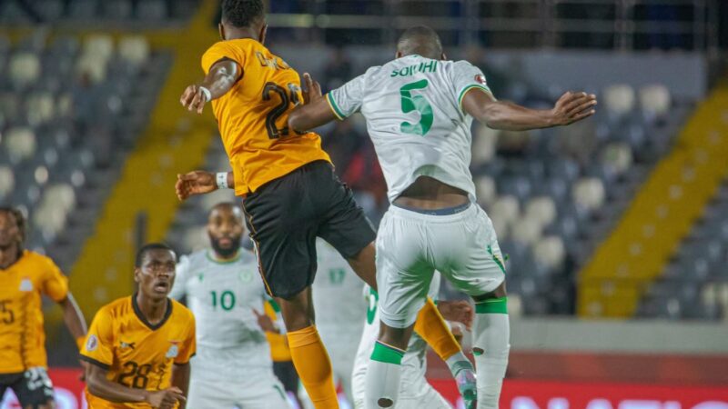 All posts | Zambia Monitor