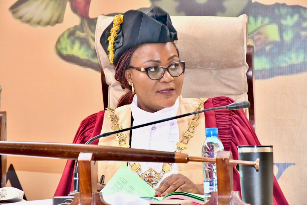 Lusaka dedicates 20% of parking levy to boost walking, cycling ...