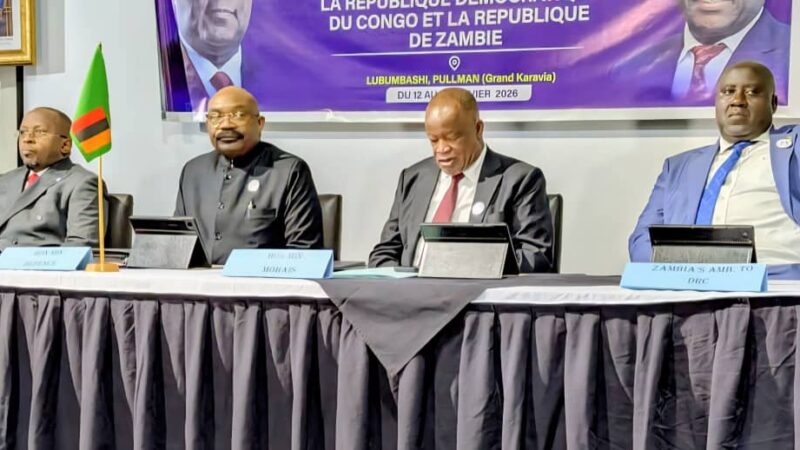 KoBold Metals projects investment of $300 million in Zambia’s Mingomba ...