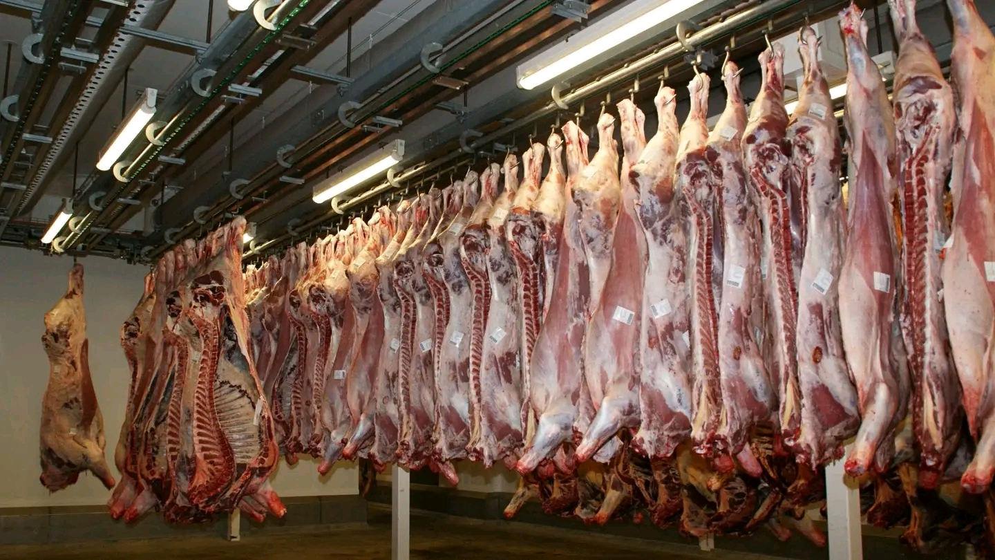 Zambia eyes regional beef markets, targets $1 billion in annual exports ...