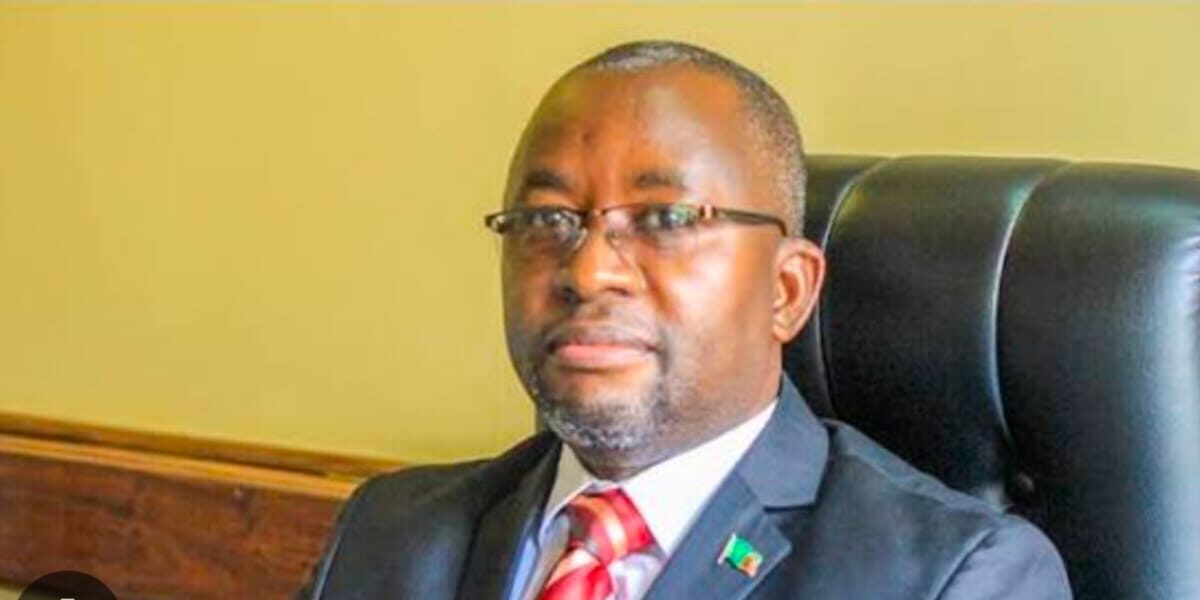 Zambia, Botswana advance Mosetse–Kazungula–Livingstone rail project ...