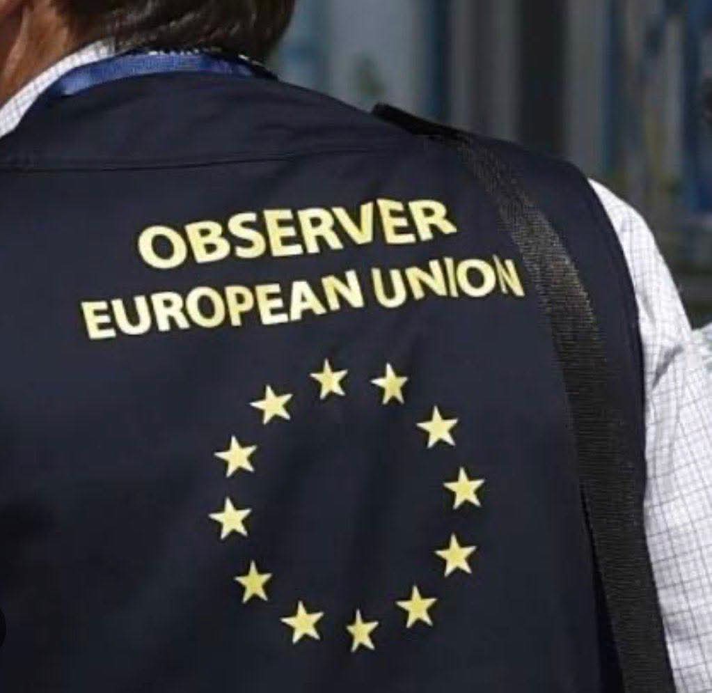 2026 Polls: EU deploys Election Observation Mission, names McNamara ...